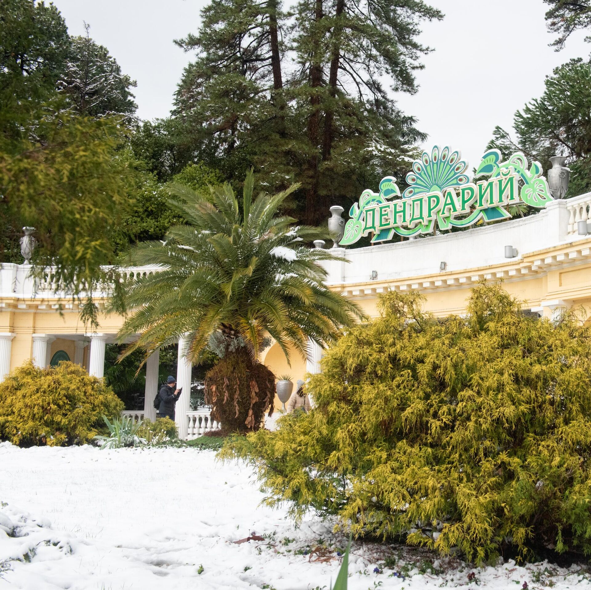 Crimea y Sochi bajo la nieve: un riguroso invierno azota las regiones ...