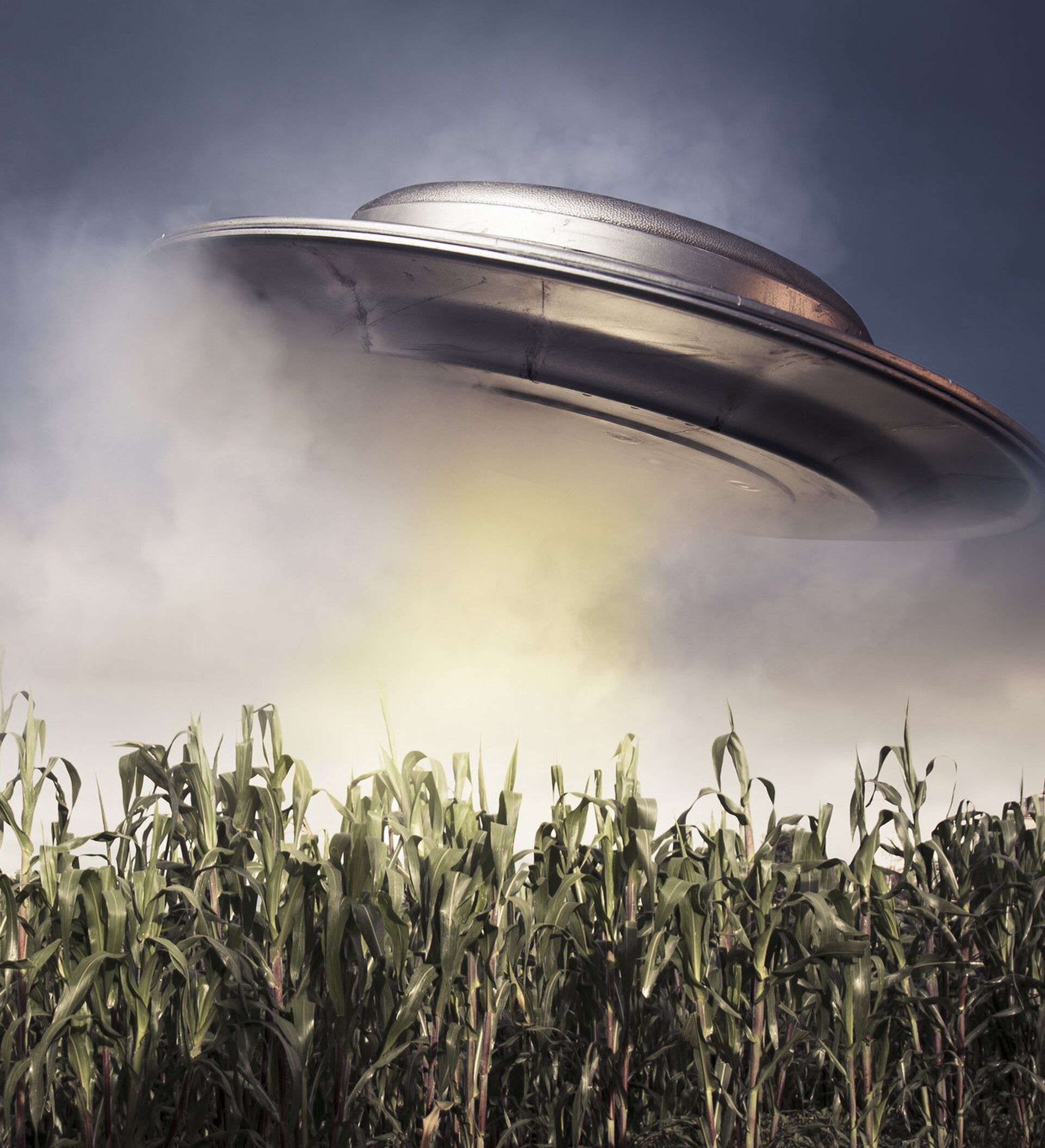 Científicos descubren cómo podrían ser los alienígenas. ¡Y es ...